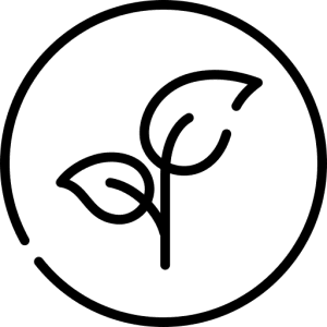 Marberry Cleaners | Family-Owned Dry Cleaner in Chicago, IL